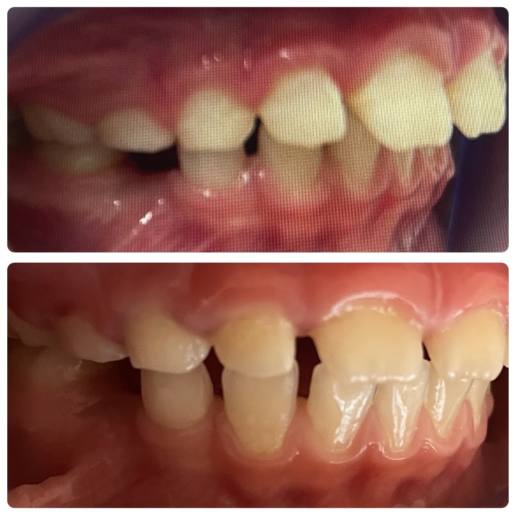 Dentosophie & Heilzentrum in Dresden - Dr. Constanze Groß